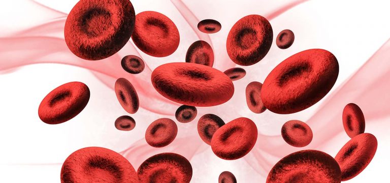 Angiologie - Phlebologie | Médipole de Savoie